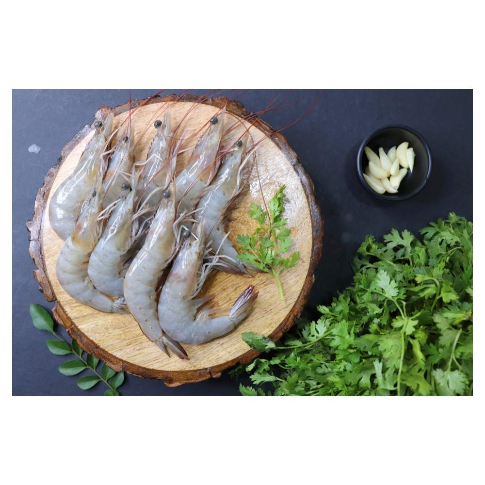 WHITE PRAWNS / JHINGA