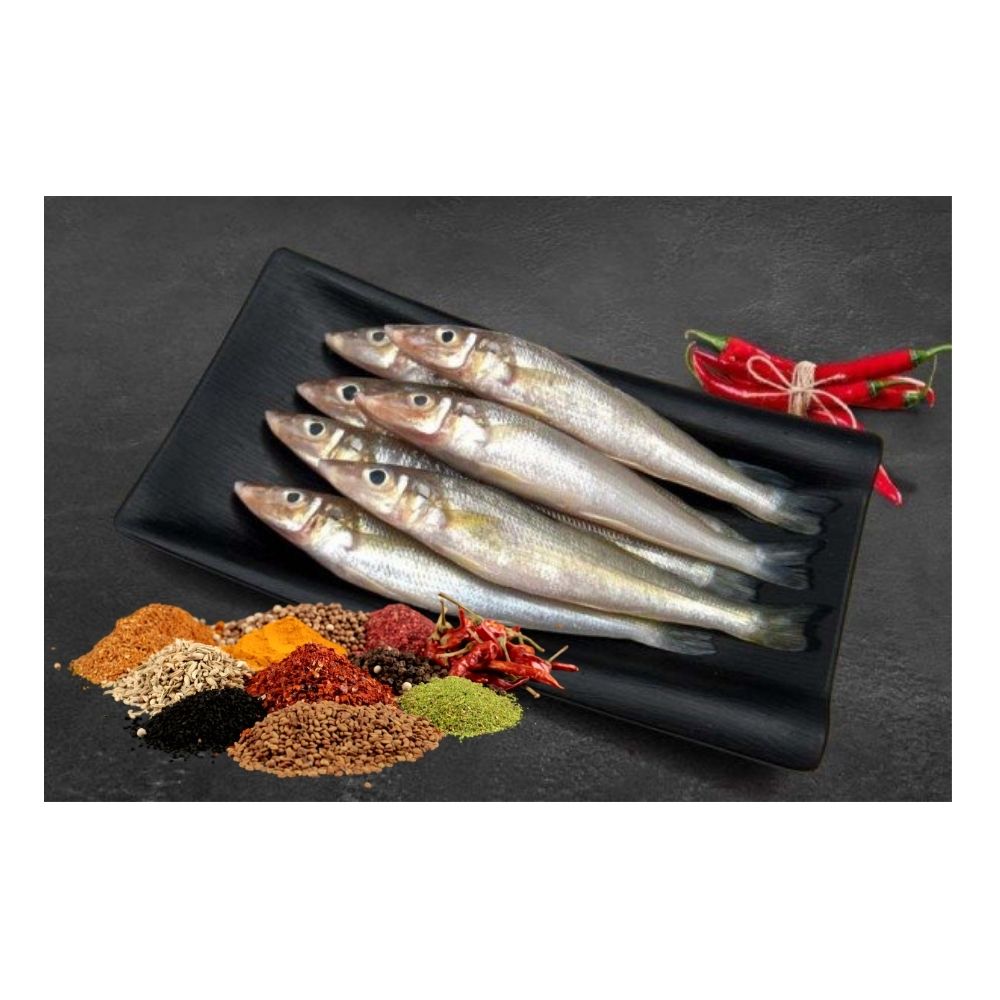 LADY FISH, KANE, POOVAN